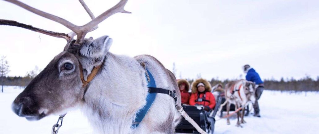 5-Day Christmas Holiday Package - Silver Birch Resort