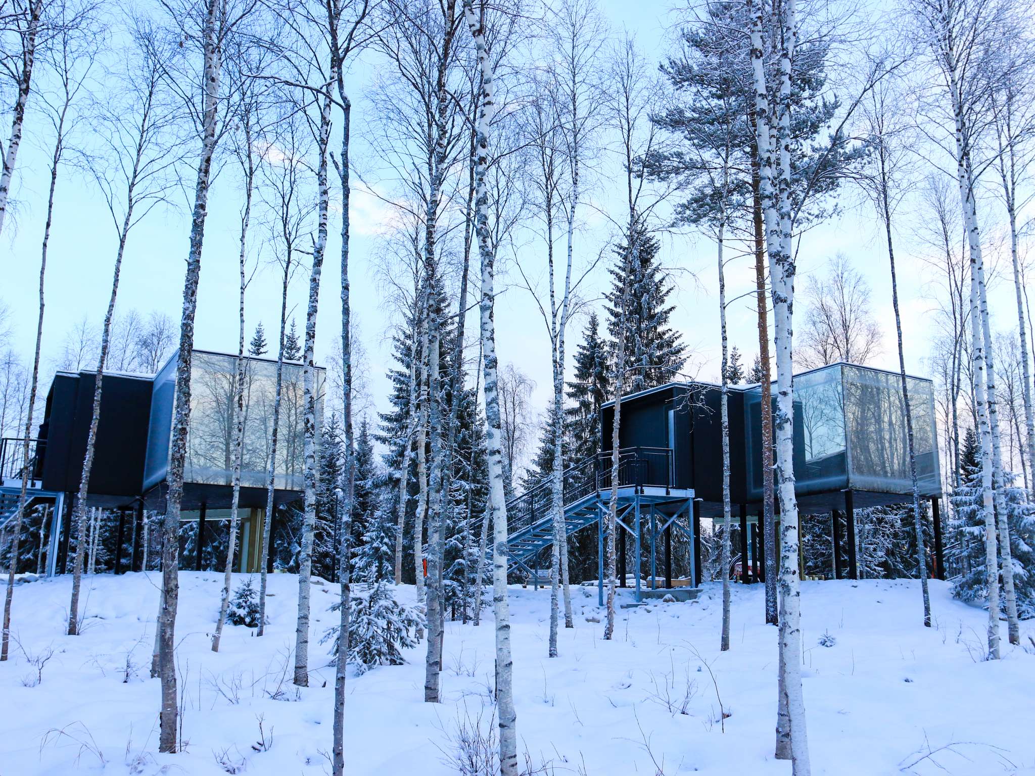 Silver Birch Resort | Experience the mysticism of Lapland